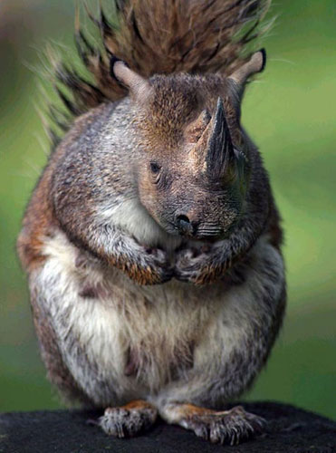 How ever so [_____]-ly we live through it all!!: Most Dangerous Hybrids