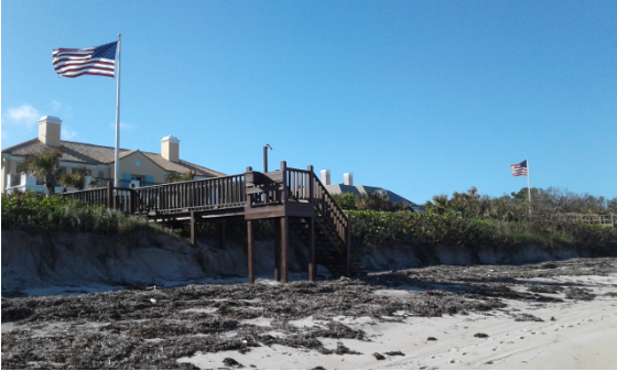 The Treasure Beaches Report Direct From Florida's Treasure Coast.: 11/7 ...