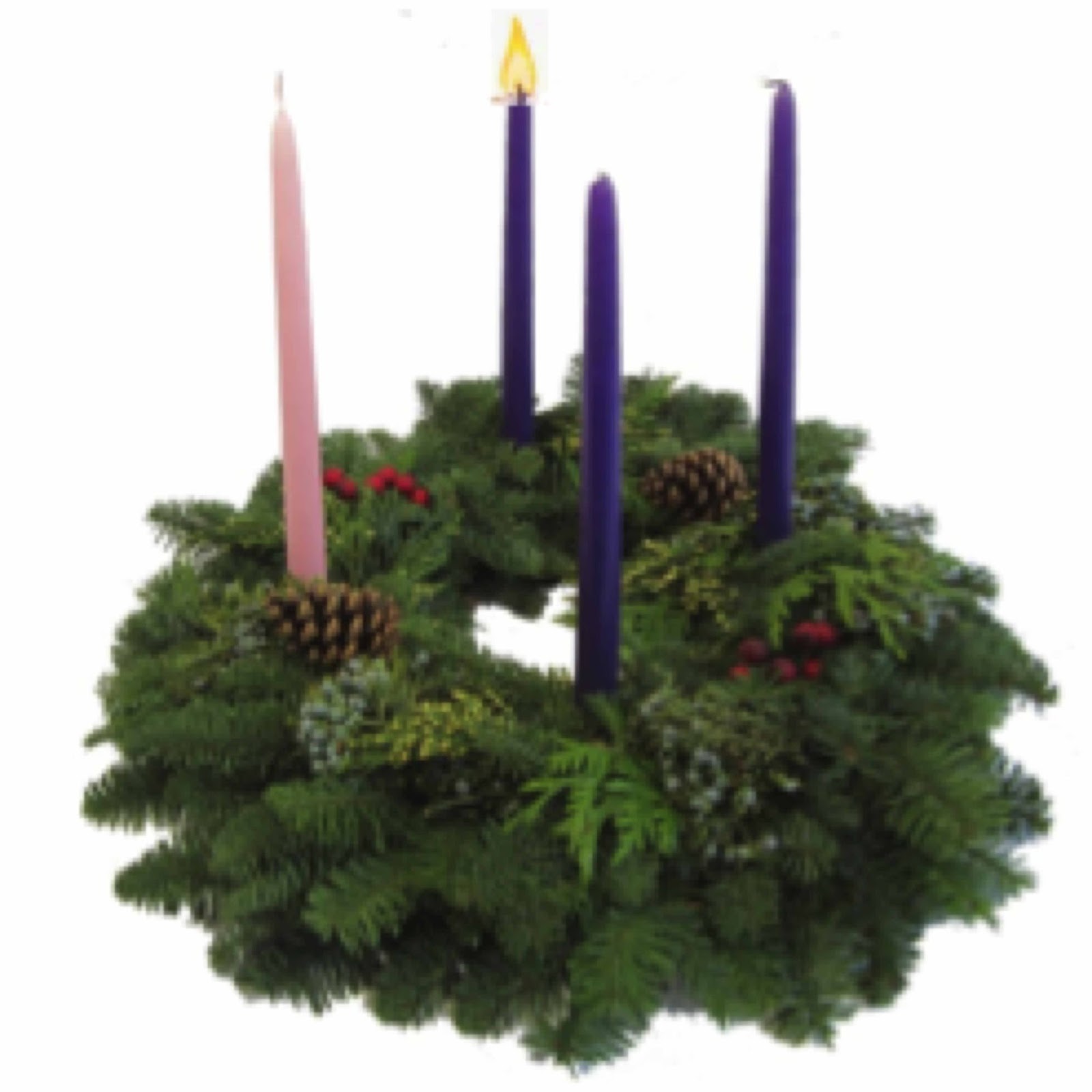 Anglican Orthodox Church Worldwide Communion: Sermon Notes - First ...