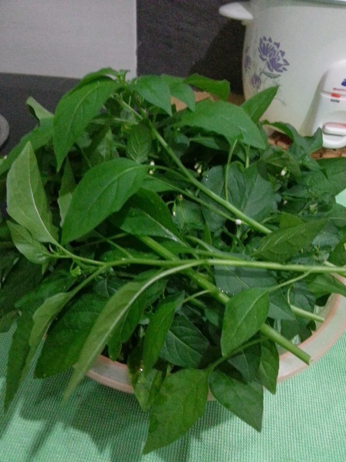 KEBUN DAN AKU: SAYUR MERANTI