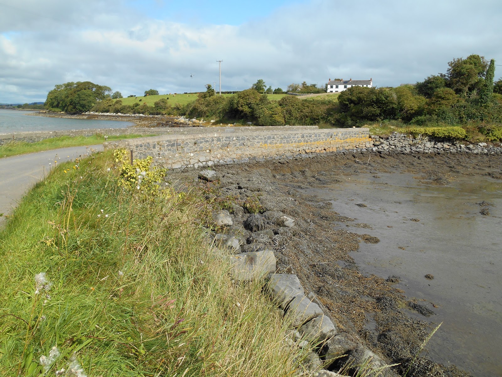 A lifetime of Islands: Island 290 - Reagh Island, Strangford Lough ...