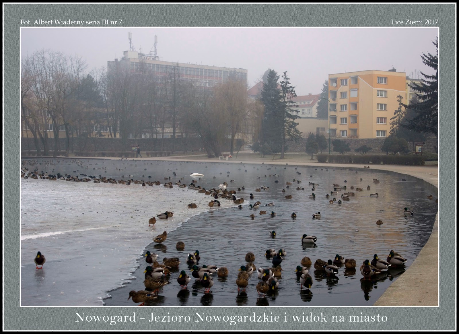 Lice Ziemi: Nowogard. Część I - dzieje miasta Naugard/Nowogard