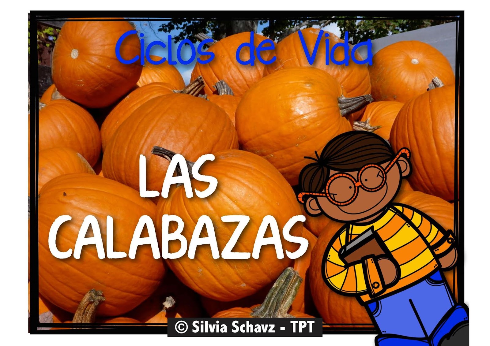 El salón de Silvia Schavz