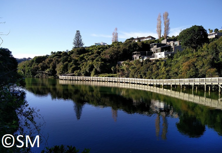 Vivre Auckland: Le bassin d'Orakei - Volcan d'Auckland
