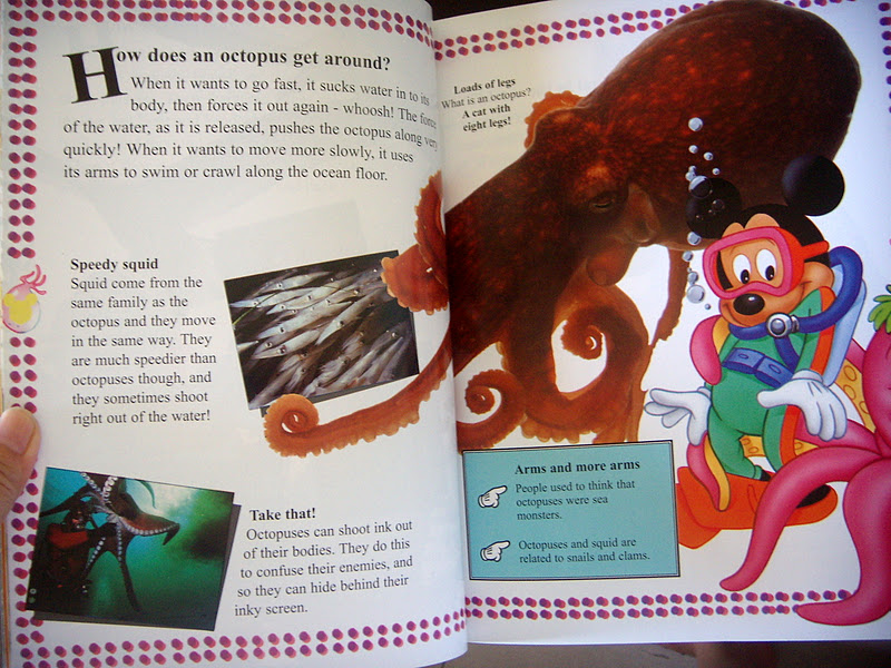 CHILDREN BOOKS FOR YOU: Mickey Wonders Why Big Book Of Knowledge