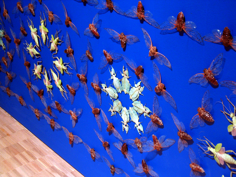 Koi Story: Artist Spotlight v2: Jennifer Angus