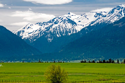 These Are The Voyages...: Wallowas - First Contact