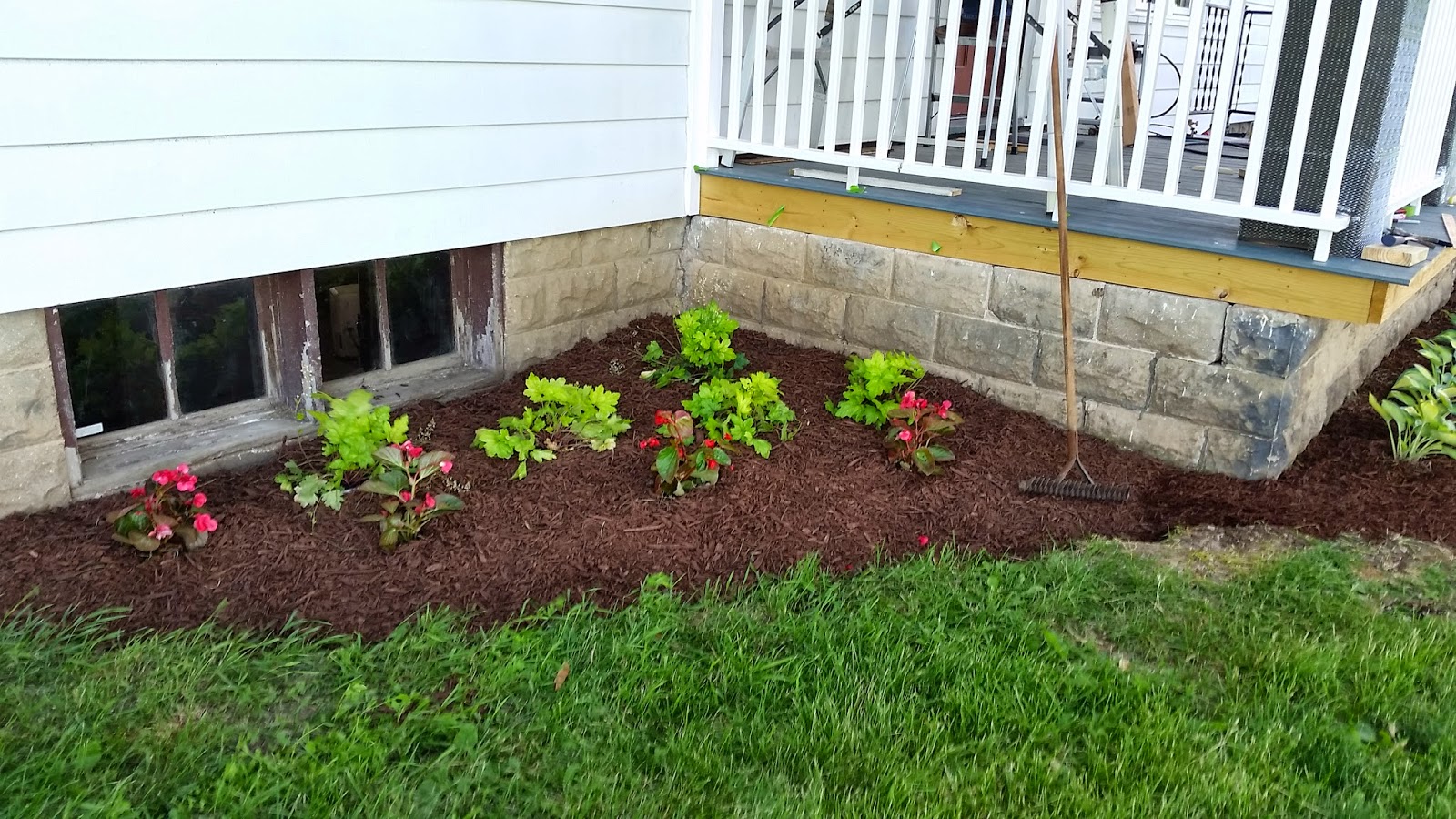 Crafty Homestead: New Basement Windows
