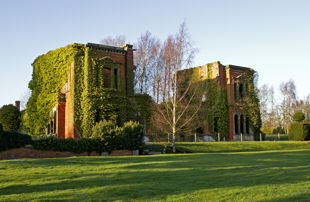 Landed families of Britain and Ireland: (327) Bainbrigge of Lockington ...