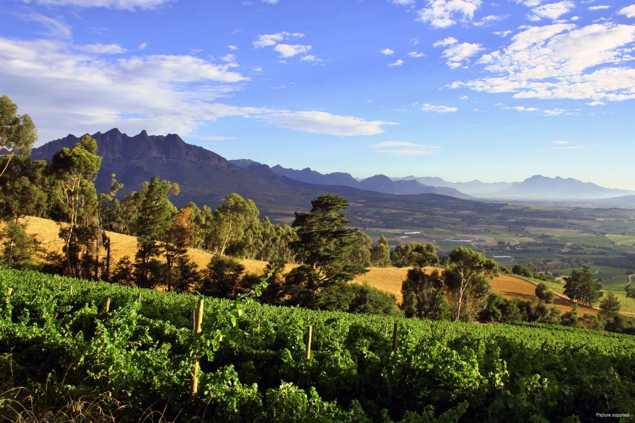 The legacy of Linton Park Wine Estate revealed - WineTourismZA South Africa