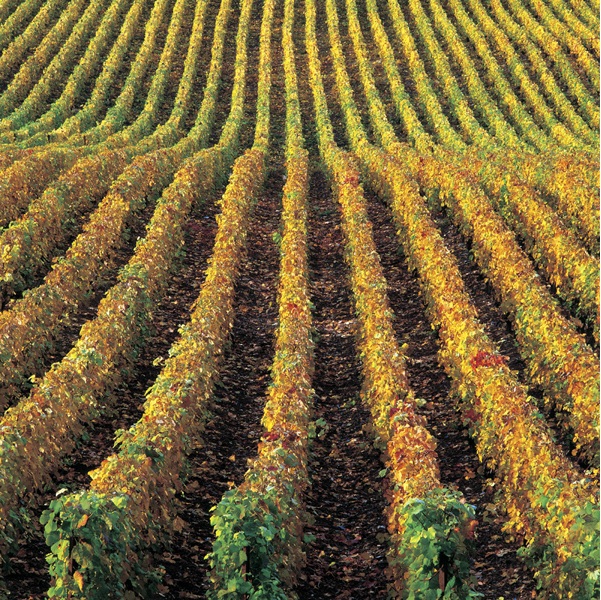 McKenna Jones Photography: Charlie Waite (Pt 2): Techniques