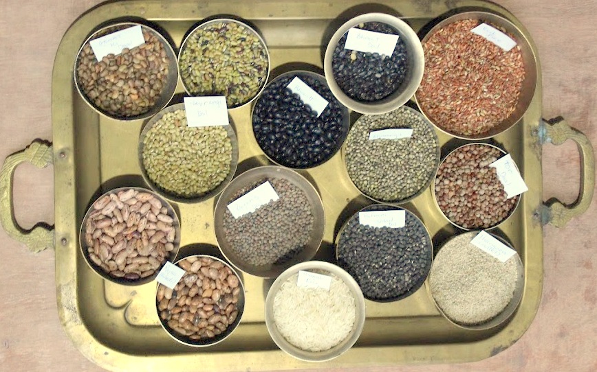 Rushina Munshaw Ghildiyal: An Exploration of Garhwali Daals