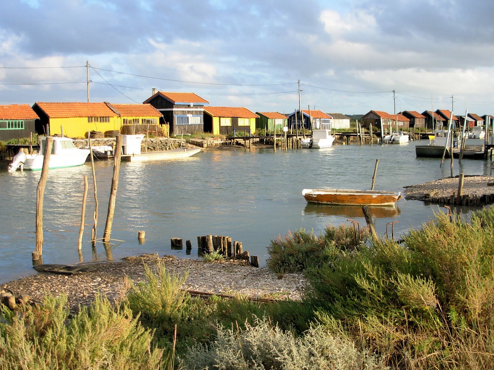 Photo Friday! A Trip to La Tremblade, SW France. - Lavender and Lovage