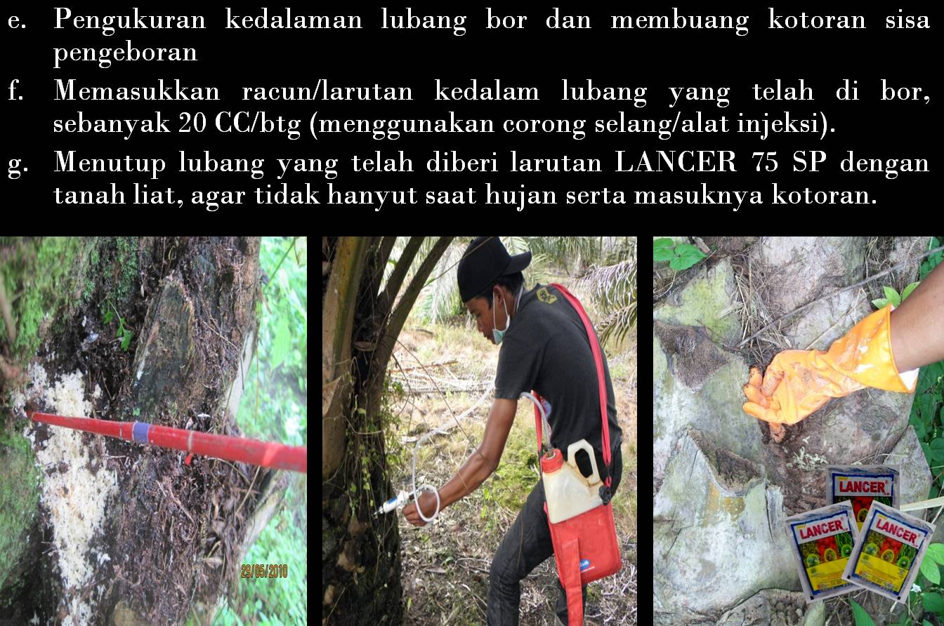 PANDUAN PENGENDALIAN ORGANISME PENGGANGGU TANAMAN (OPT) KELAPA SAWIT: PENGENDALIAN ULAT KANTONG ...