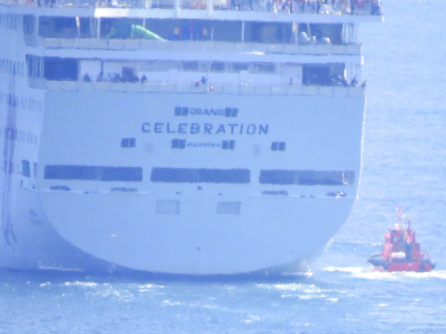 Cruise Ships on the Bosphorus: GRAND CELEBRATION