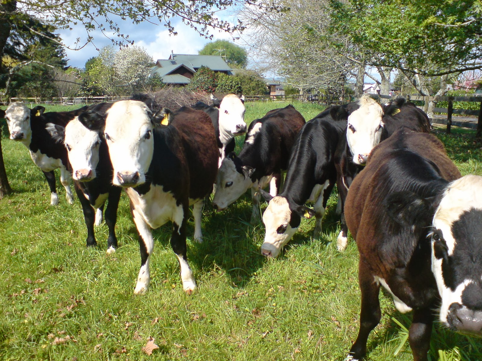 Quote Unquote: October 2013