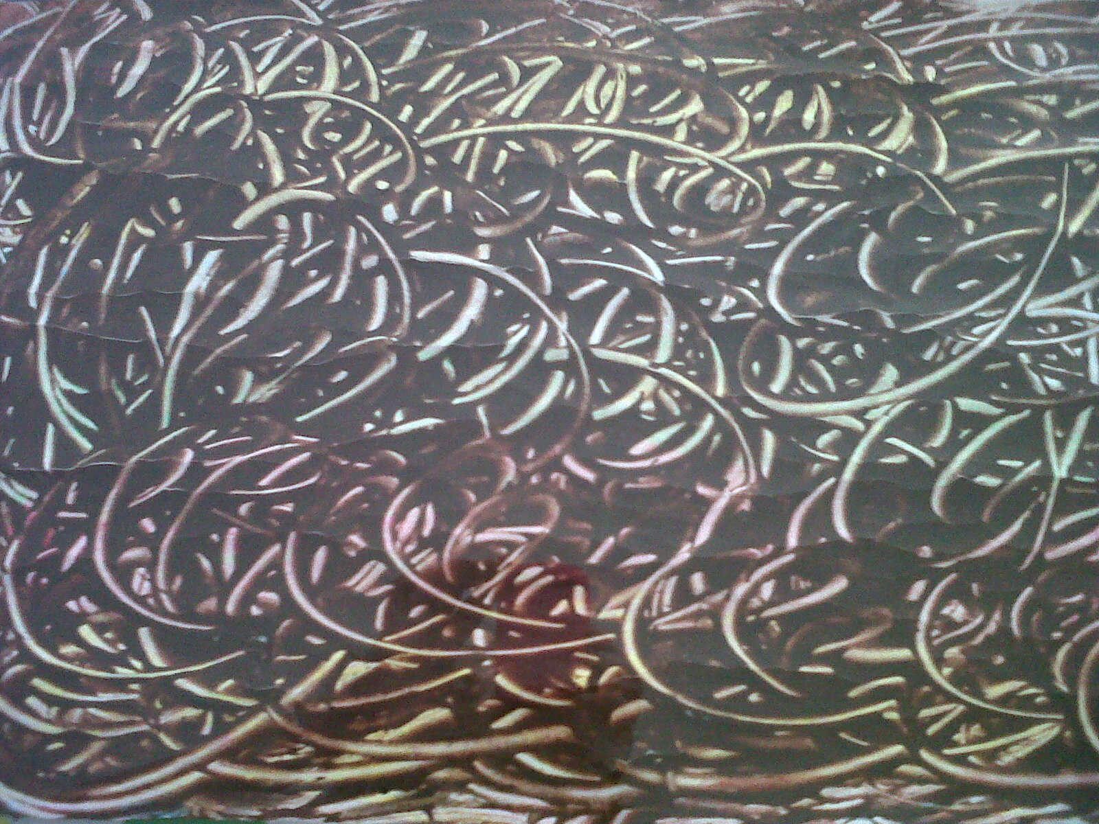 DESARROLLO DE LA EXPRESIÓN PLÁSTICA Y SU DIDÁCTICA: ¡¡GARABATEO!!