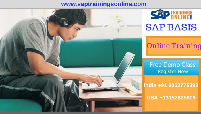 SAP BASIS Online Training: SAP BASIS Online Course | Managing ...