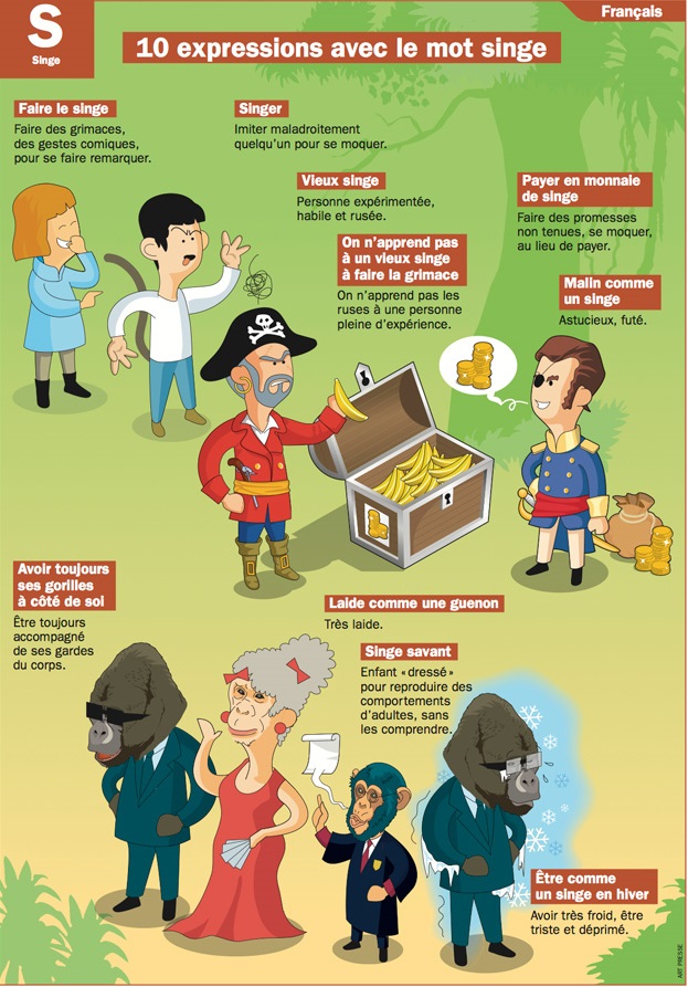 TICs en FLE: Expressions françaises illustrées