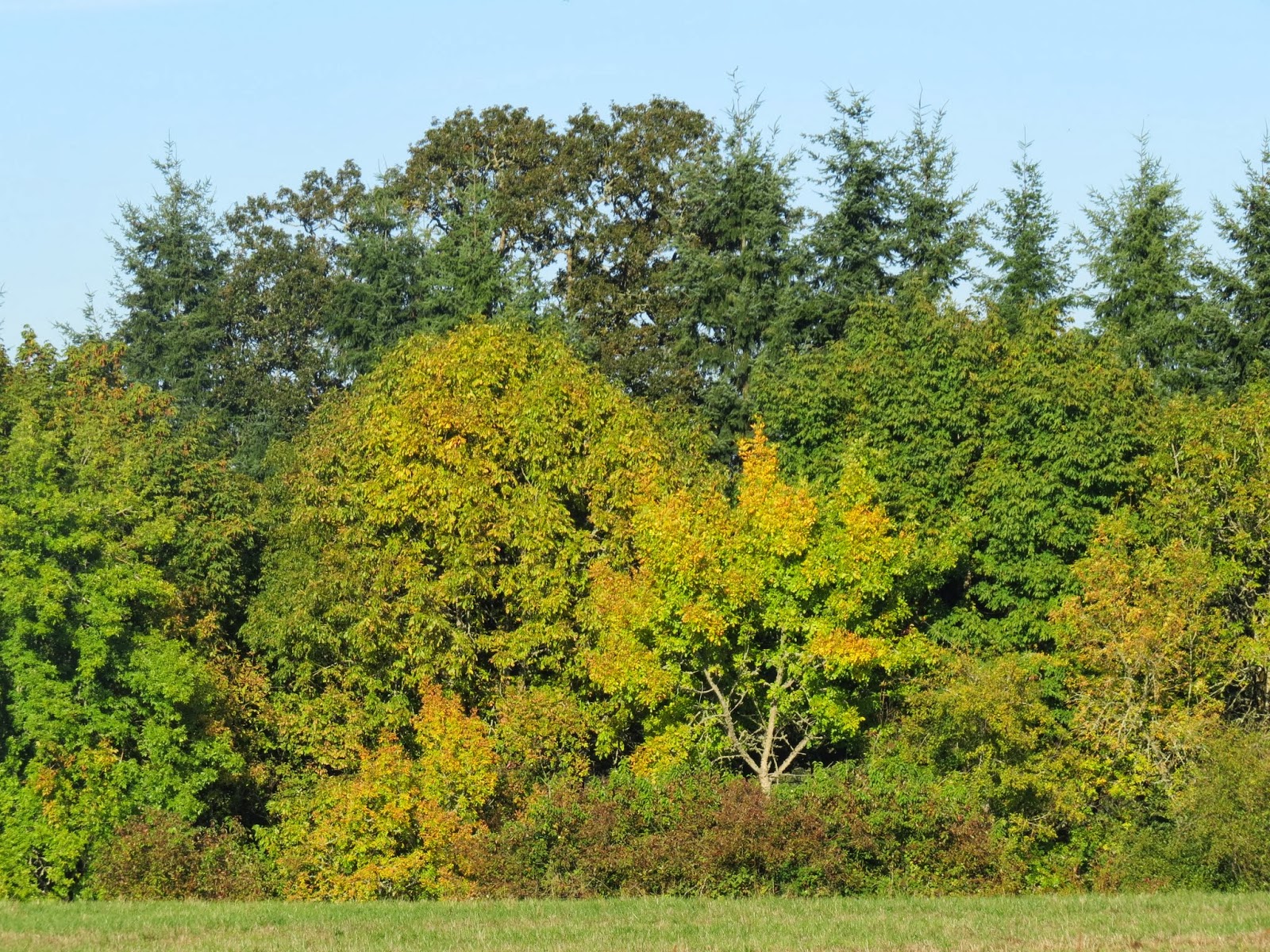 Photos by Jan: A Trip to Detering Orchards; in Harrisburg, Oregon
