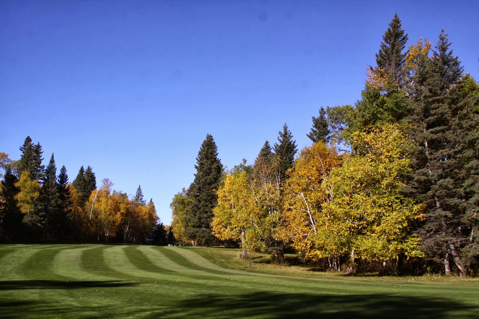 Peter's Photo Acoustic Alchemy: Fabulous day out for golfing ...