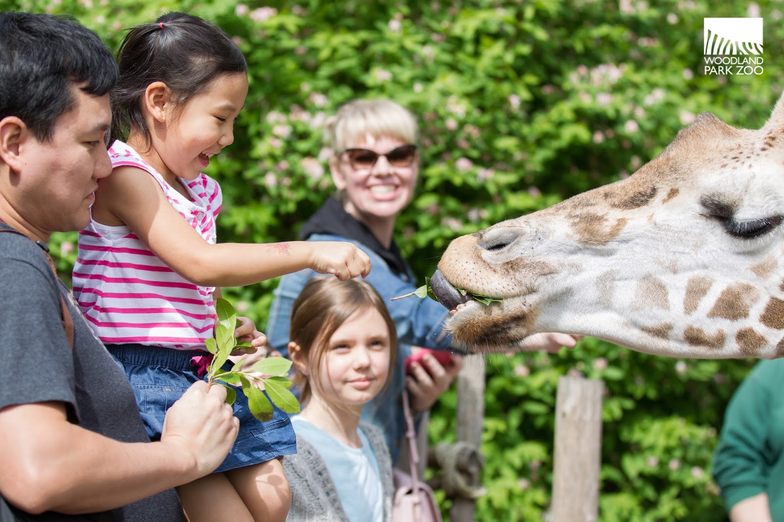 5 fun things to do at Spring Safari: African Wildlife Conservation Day