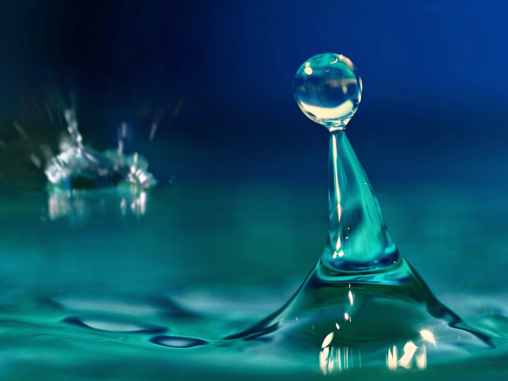 La trampa de arena: húmedo el lecho