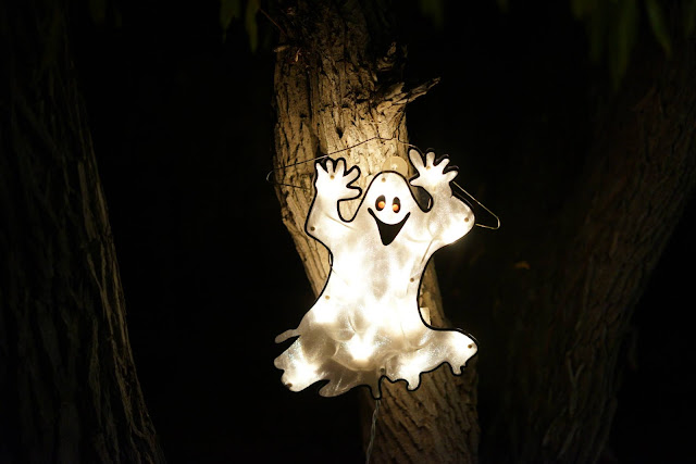 Lost But Loving It...In Alaska!: Halloween Treat