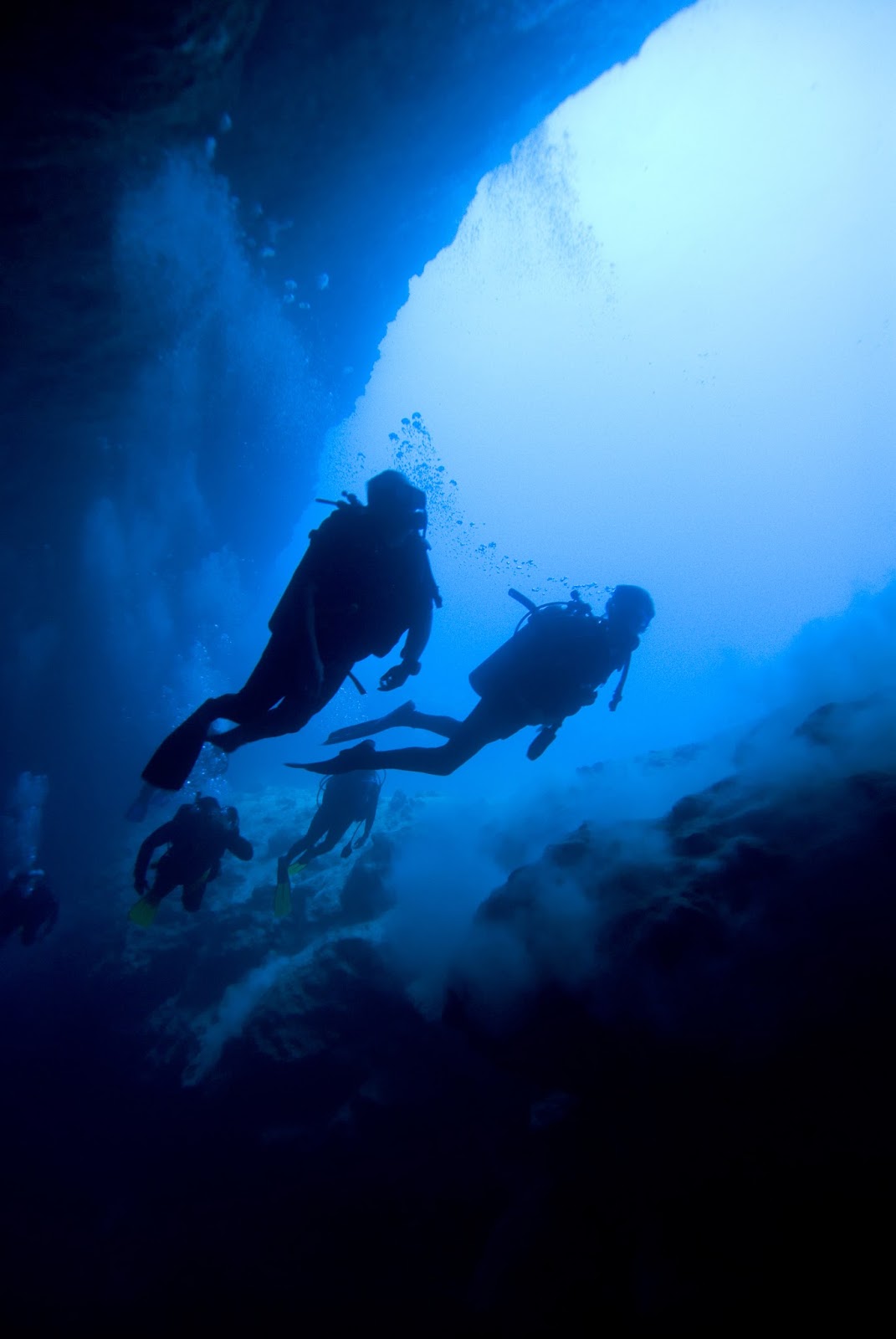 Small Hope Bay Lodge Andros Island Bahamas: The Most Geological ...