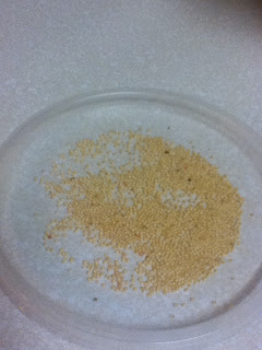 From Plant to Plate: Done in 60 Seconds – Amaranth “Popcorn”