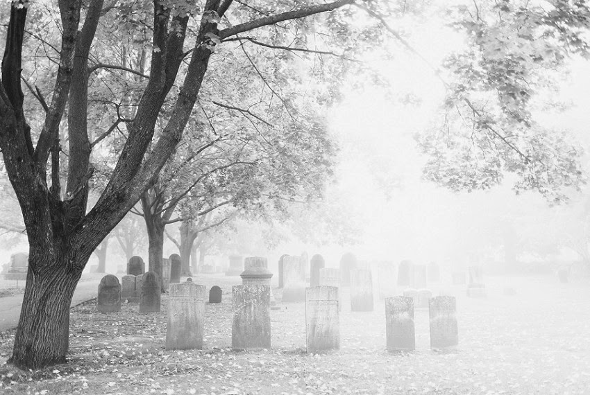 OTIS (Odd Things I've Seen): Random Halloween Season Photos Without a ...