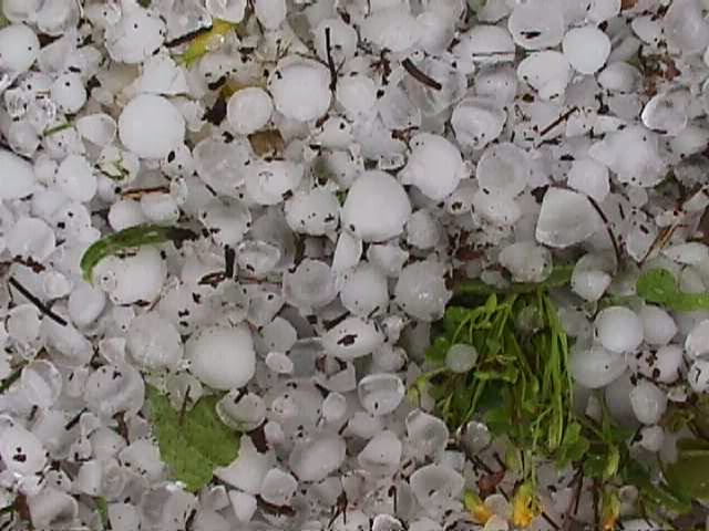 Mr. Gantt's Earth Science Lab Blog: 5th Grade-Week 3 Water Cycle