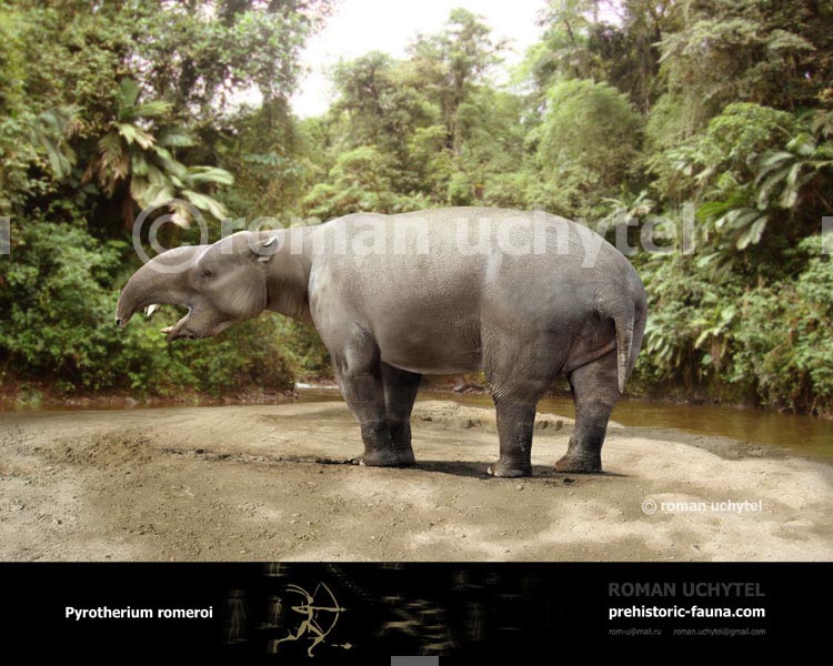 Escenarios prehistóricos: Pyrotherium