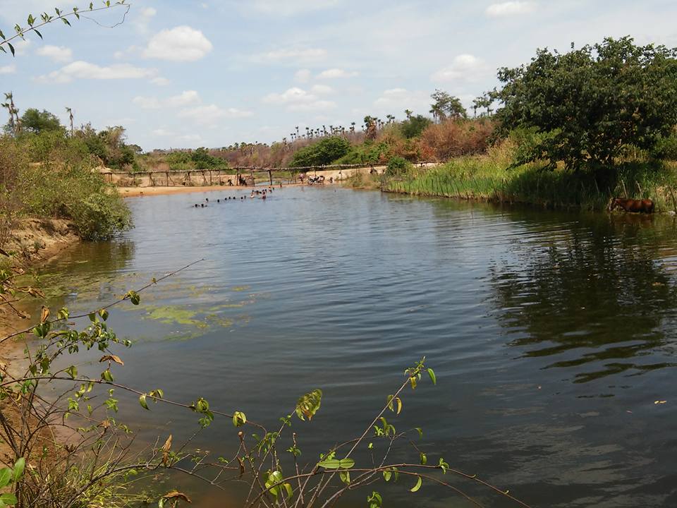 BLOG MORAÚJO NOTÍCIAS: RIO MOREIRA: RIQUEZA NATURAL DE MORAÚJO