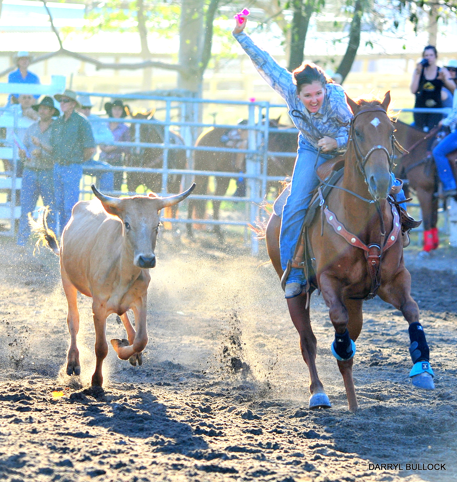 Darryl Bullock Photography: WINGHAM RODEO