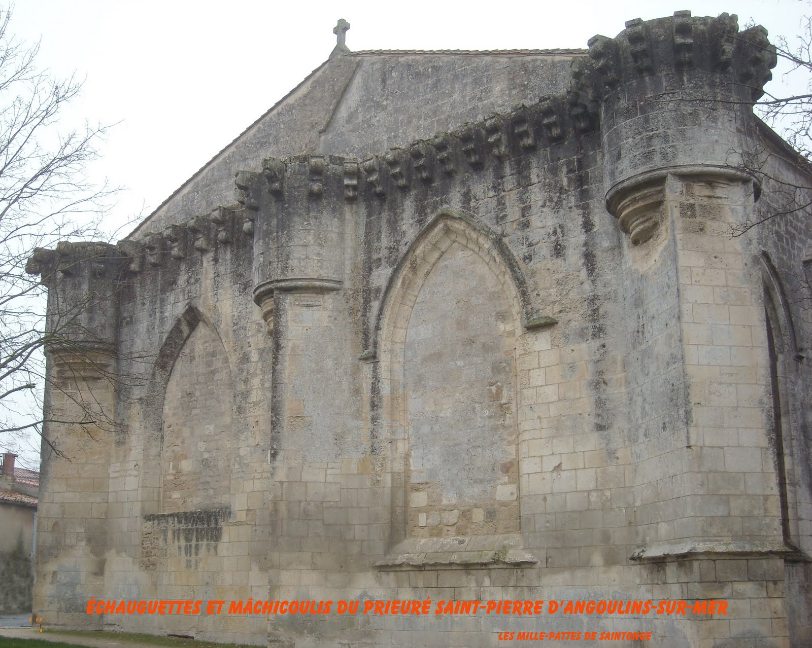 LES MILLE-PATTES DE SAINTONGE: ANGOULINS-SUR-MER en CHARENTE-MARITIME