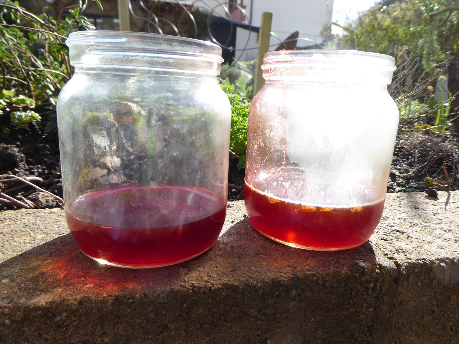 Wool - Tribulations of Hand Spinning and Herbal Dyeing: Dyeing with ...