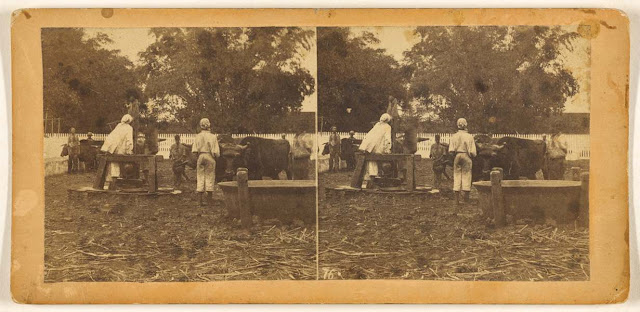 Los Grandes Fotografos: George N. Barnard (1819-1902)