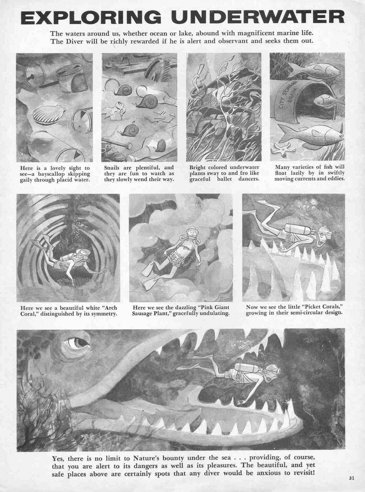 The Art of Diving: The Mad Art of Diving