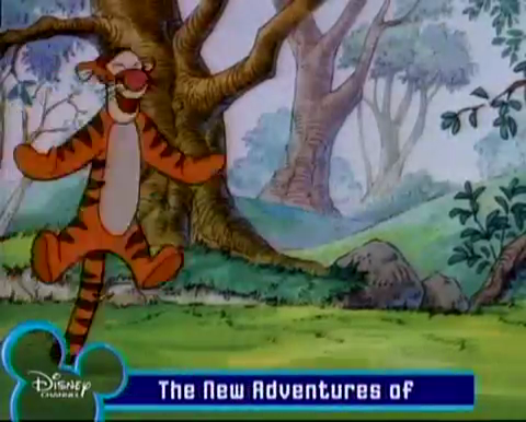 The New Adventures of Winnie The Pooh: Tigger's Shoes