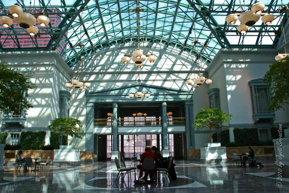 Chicago - Architecture & Cityscape: Harold Washington Library