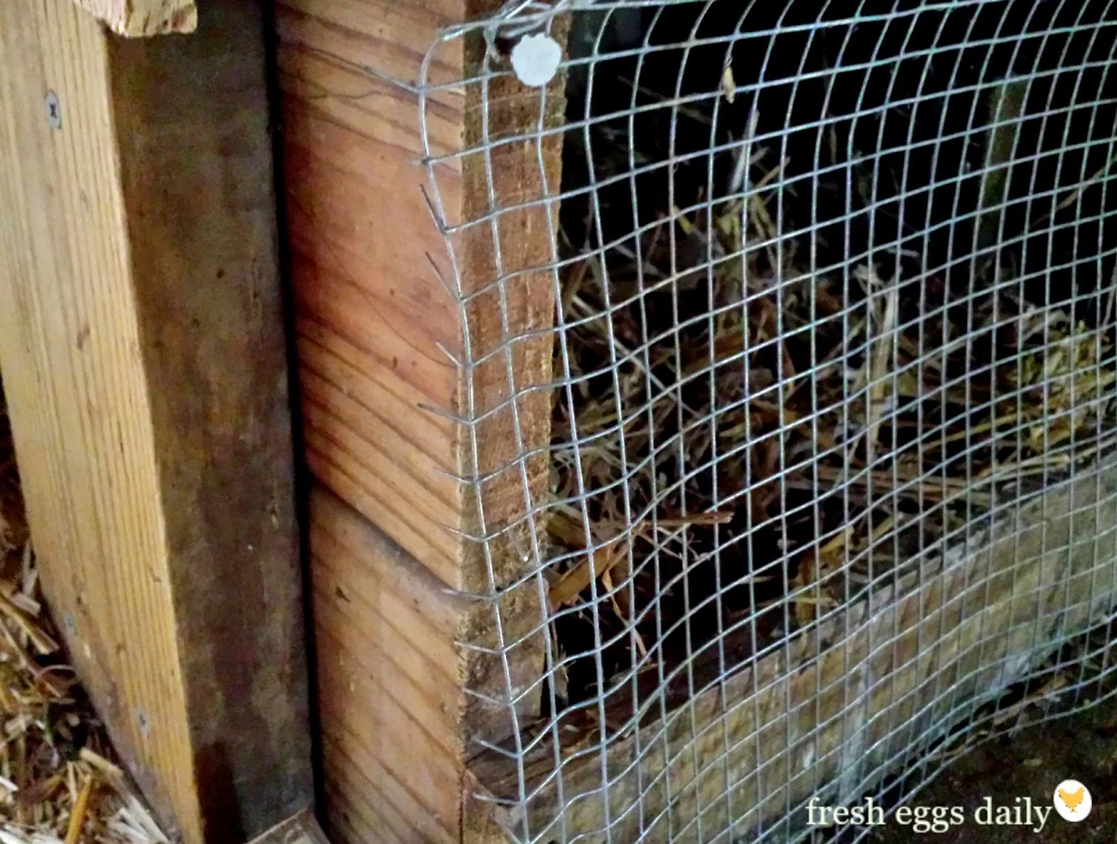 The Secret to Keeping your Chicken Coop Nesting Boxes Clean - Fresh ...