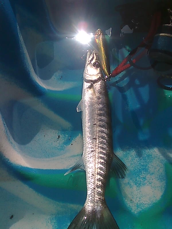 Hibiki Fishing: Half Day Fishing (2-21-2010)