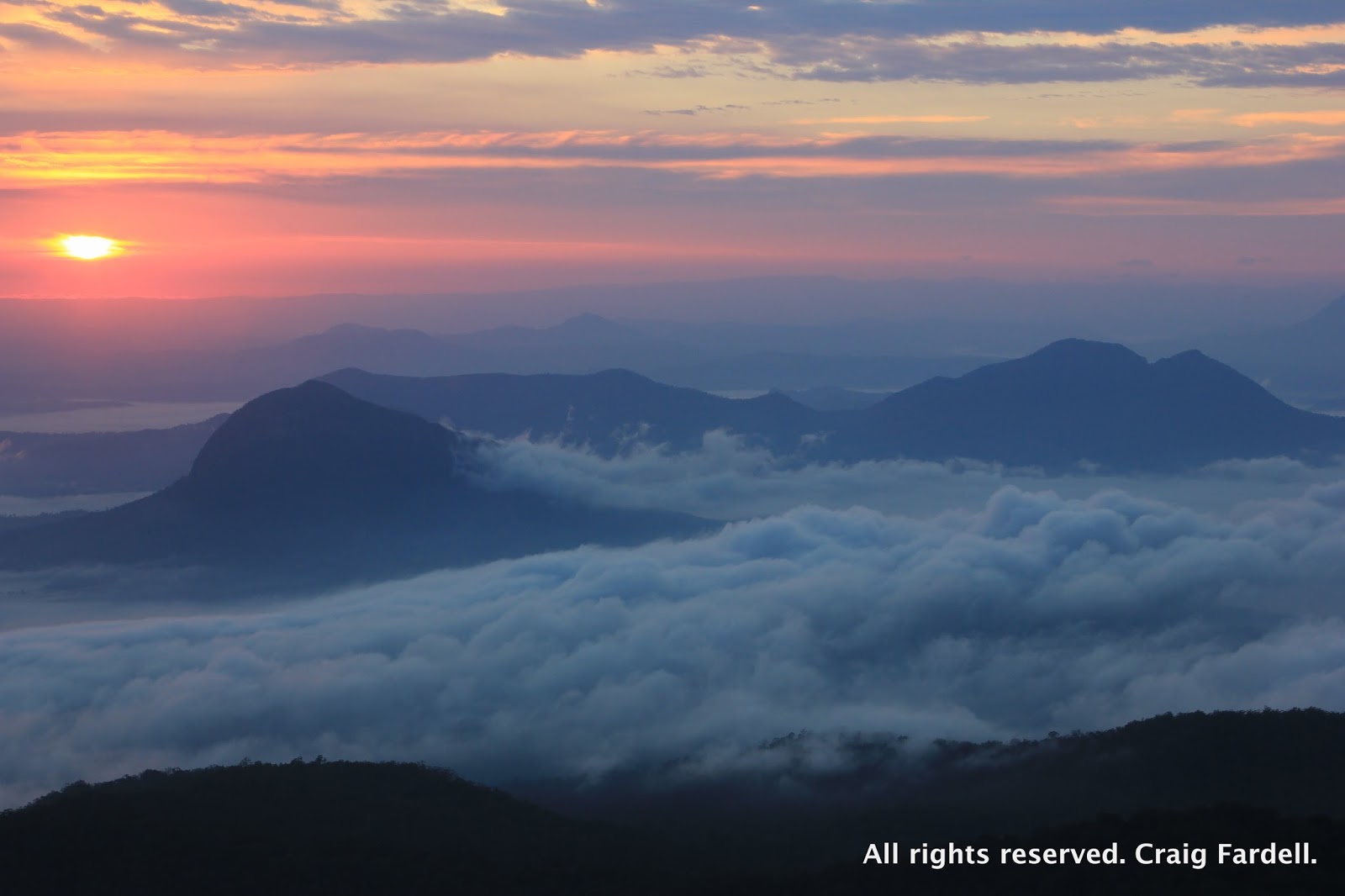awildland: Mt Cordeaux and Mt Mitchell - Main Range National Park