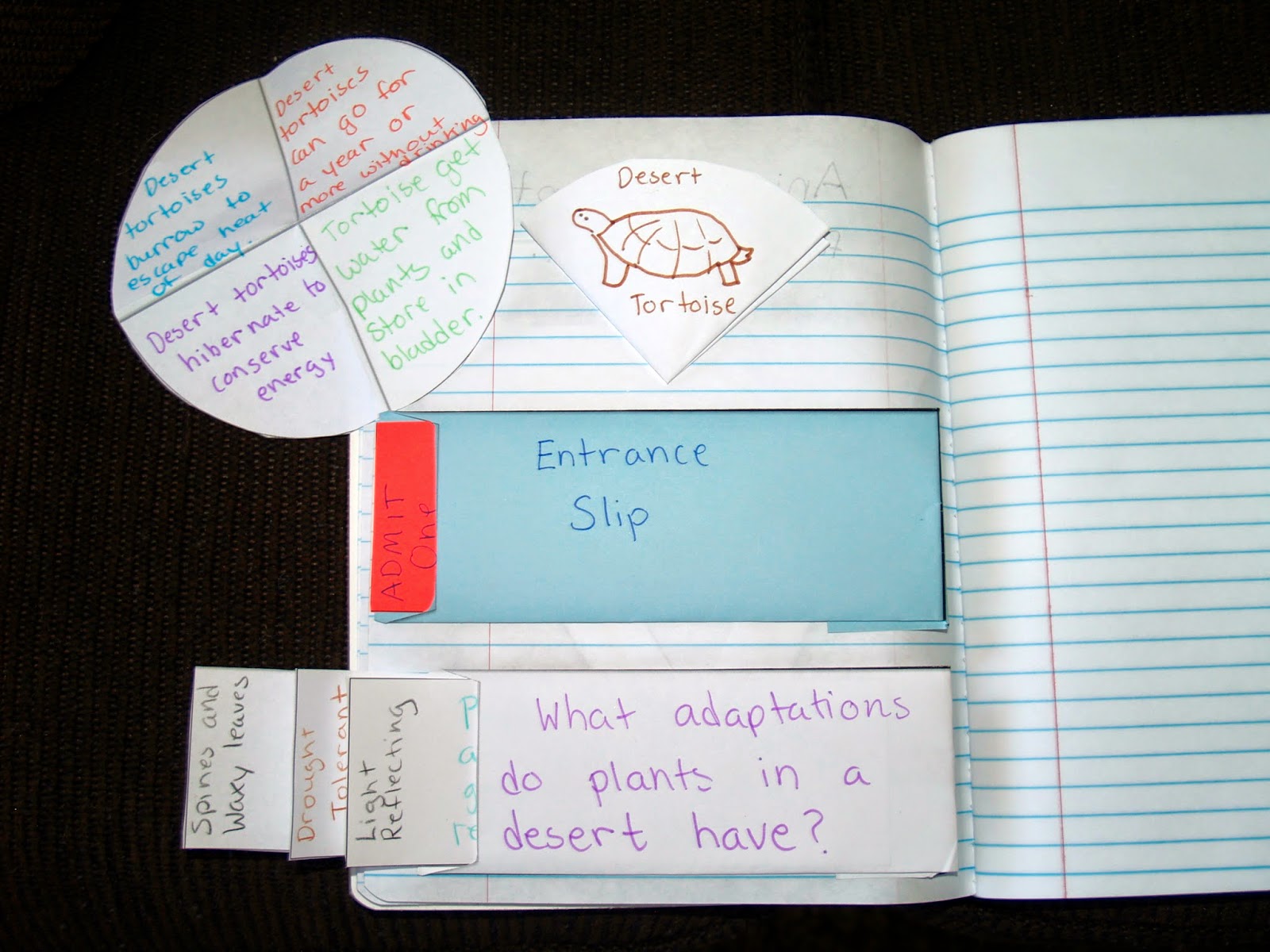 Pull Out and Sliding Inserts for Interactive Notebooks - Teaching ...