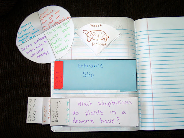 Pull Out and Sliding Inserts for Interactive Notebooks - Teaching ...