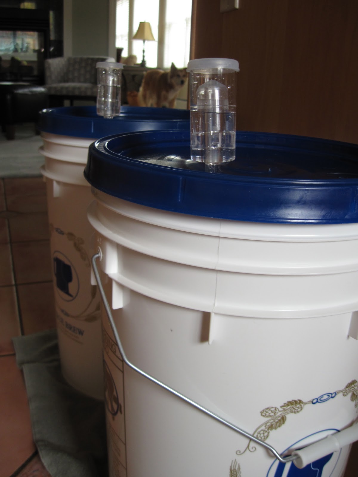 Making hard cider: part 1 | Yankee Kitchen Ninja