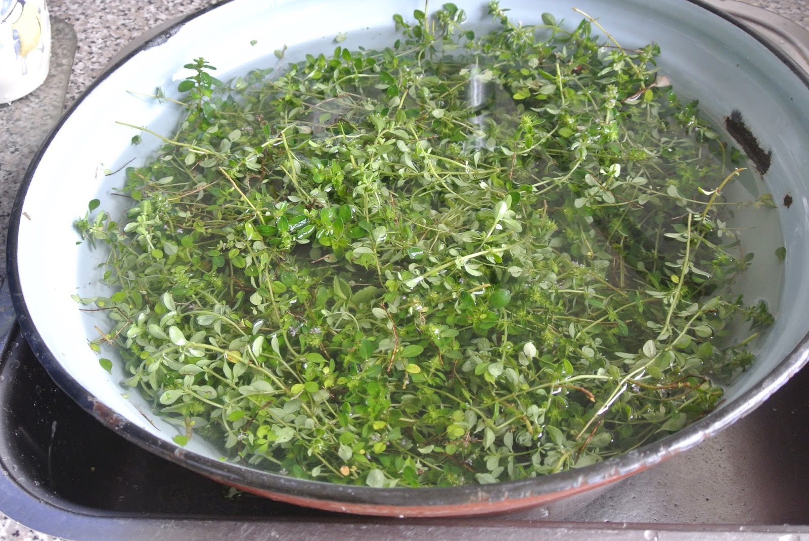 M i j m e r i n g e n . . .: Mijmering 66 Tijmsiroop maken en ...