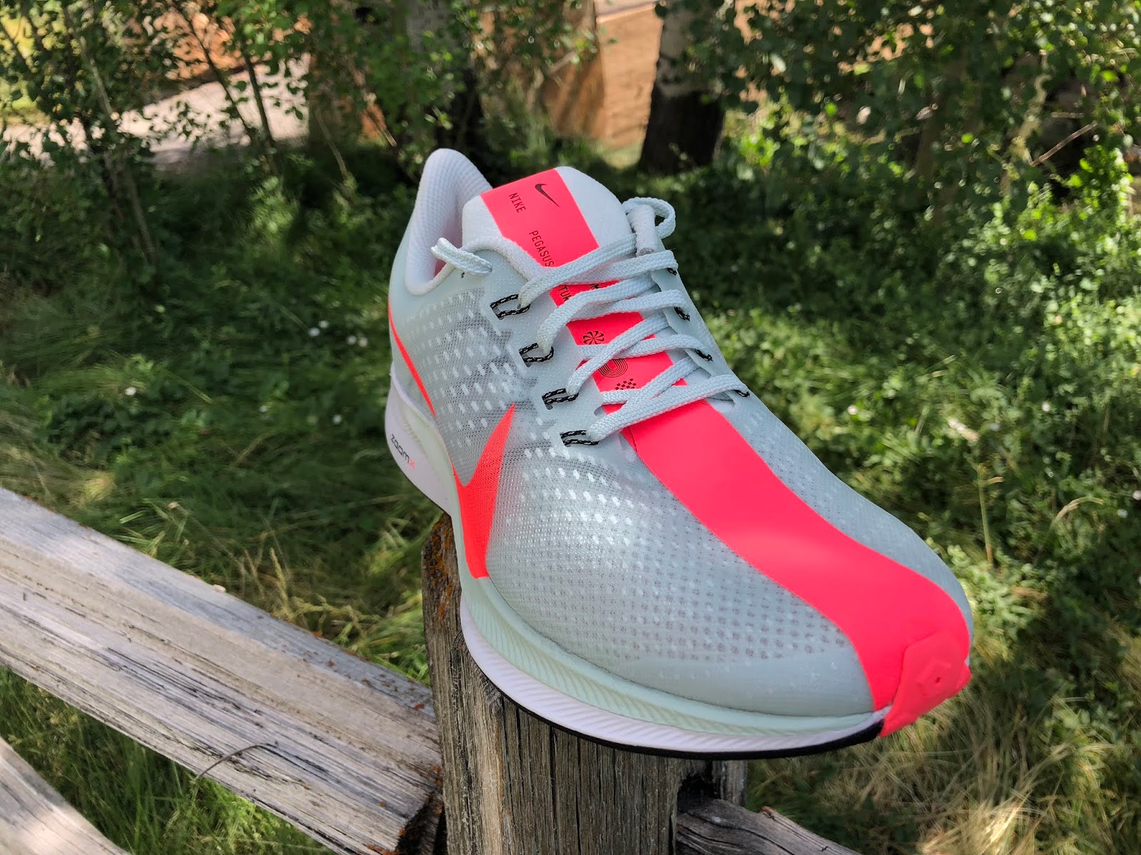 Nike Air Pegasus ALL NEW MODELS 30, 31, 32 and up | Page 82 | NikeTalk