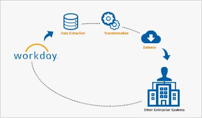 workday HCM online training: Briefly explain about Workday HCM studio..?